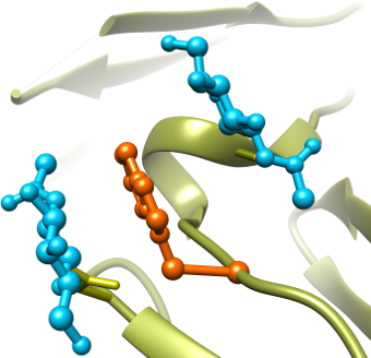 DATMOS: DATabase of MOlecular Structures